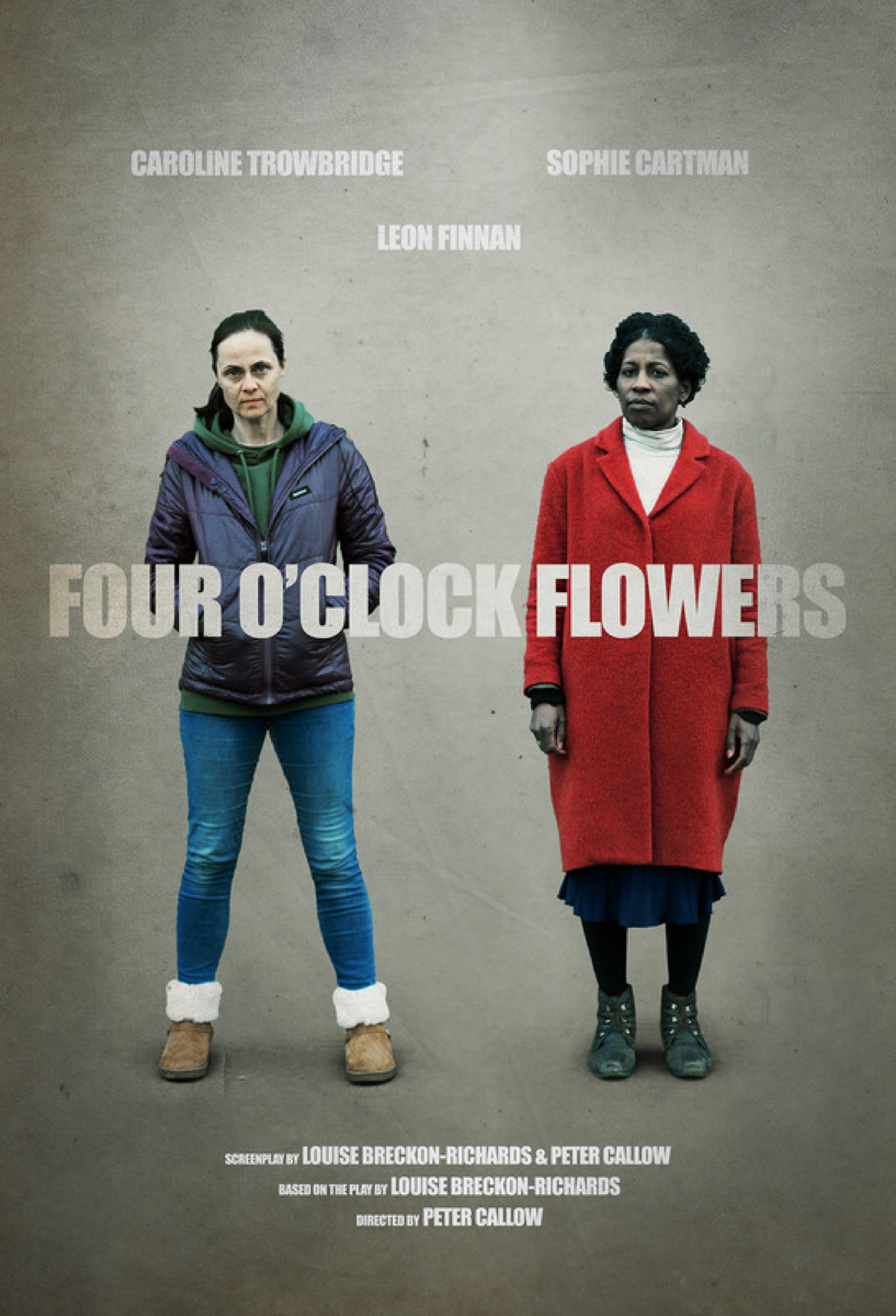 In Review ‘Four O’Clock Flowers’ by Peter Callow – Rocks Festivals Blog